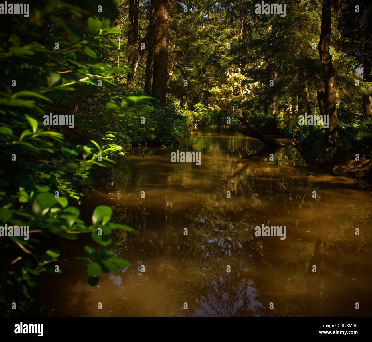 quiet brown stream Stock Photo - Alamy