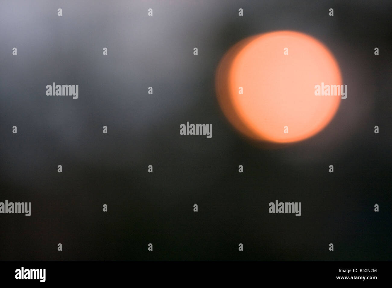 Focus the orange hi-res stock photography and images - Alamy