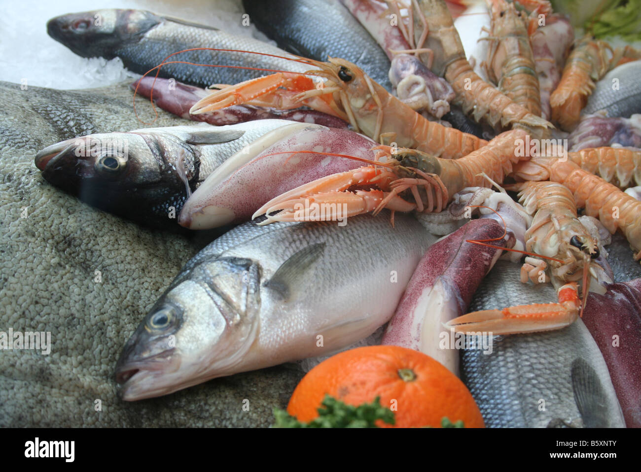 Beautiful seafood on the ice Stock Photo - Alamy