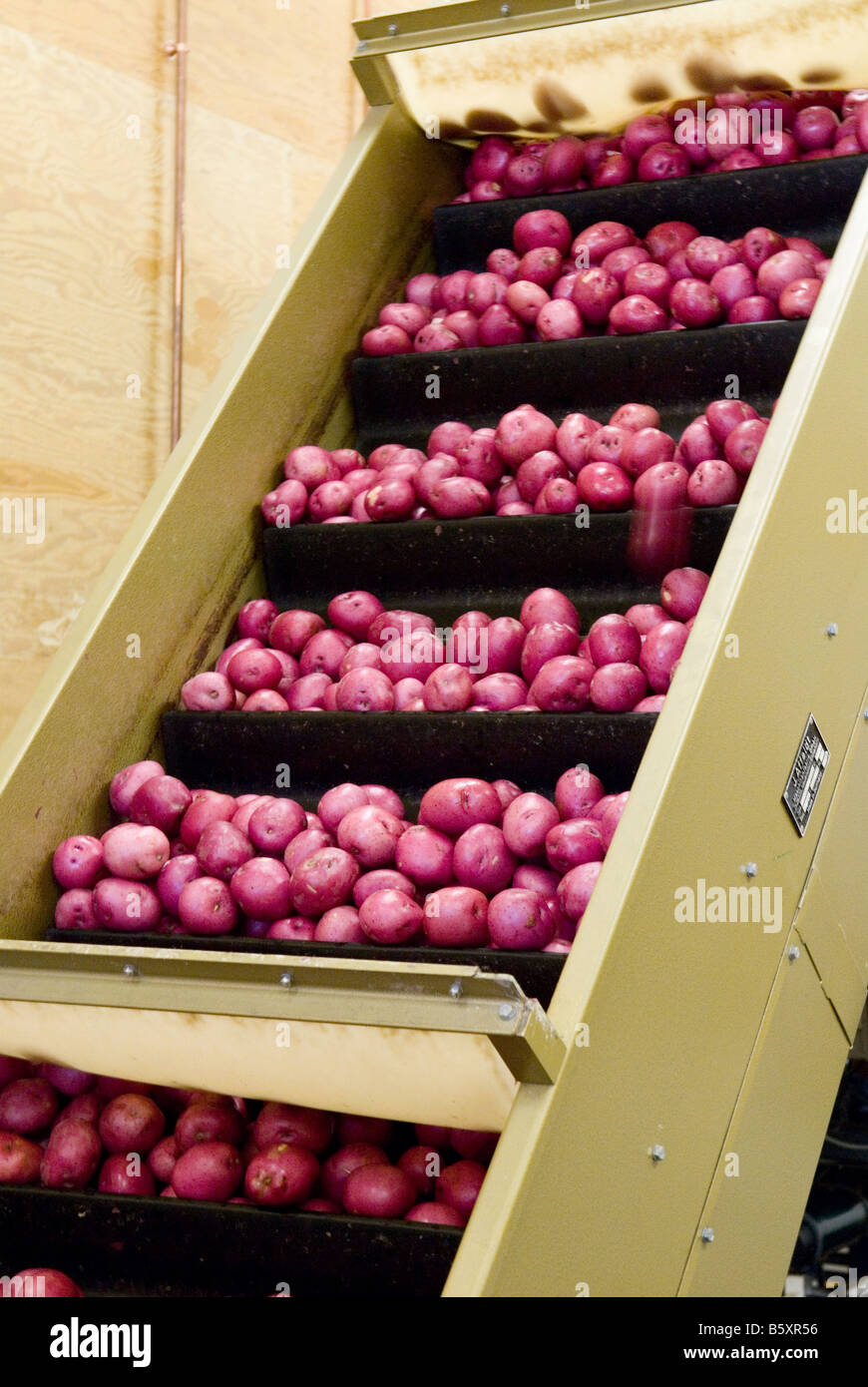 Food processing line hi-res stock photography and images - Alamy