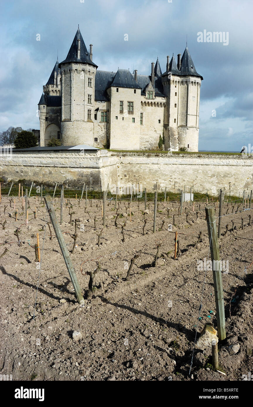 Saumur Chateau by the Loire River western France Stock Photo - Alamy