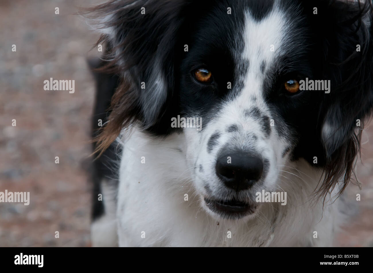 Flax museum hi-res stock photography and images - Alamy