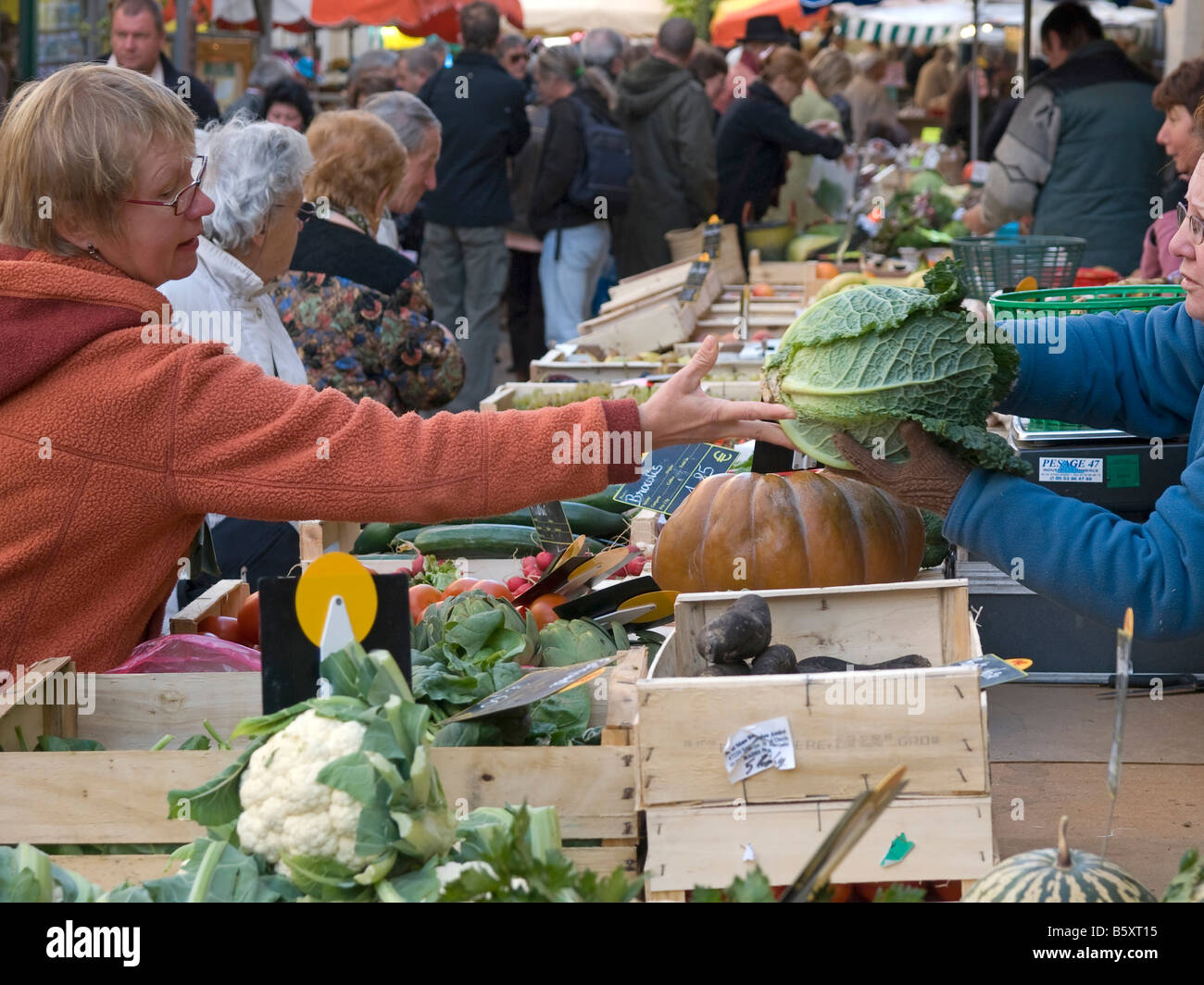 stall on market place woman buying cabbage vegetable tomatoes cucumbers ...