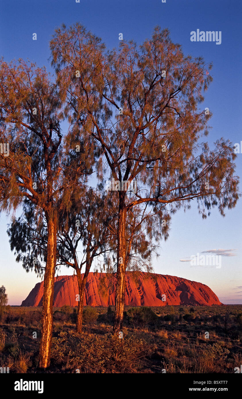 Uluru (Ayers Rock), Central Australia Stock Photo - Alamy