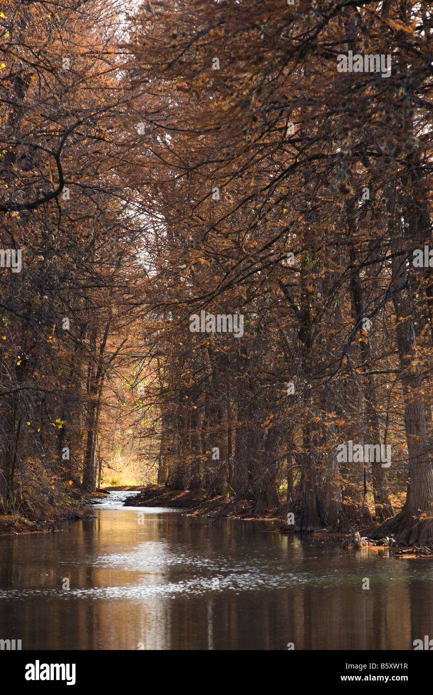 River, stream, or creek Landscape in Texas Hill Country during the ...