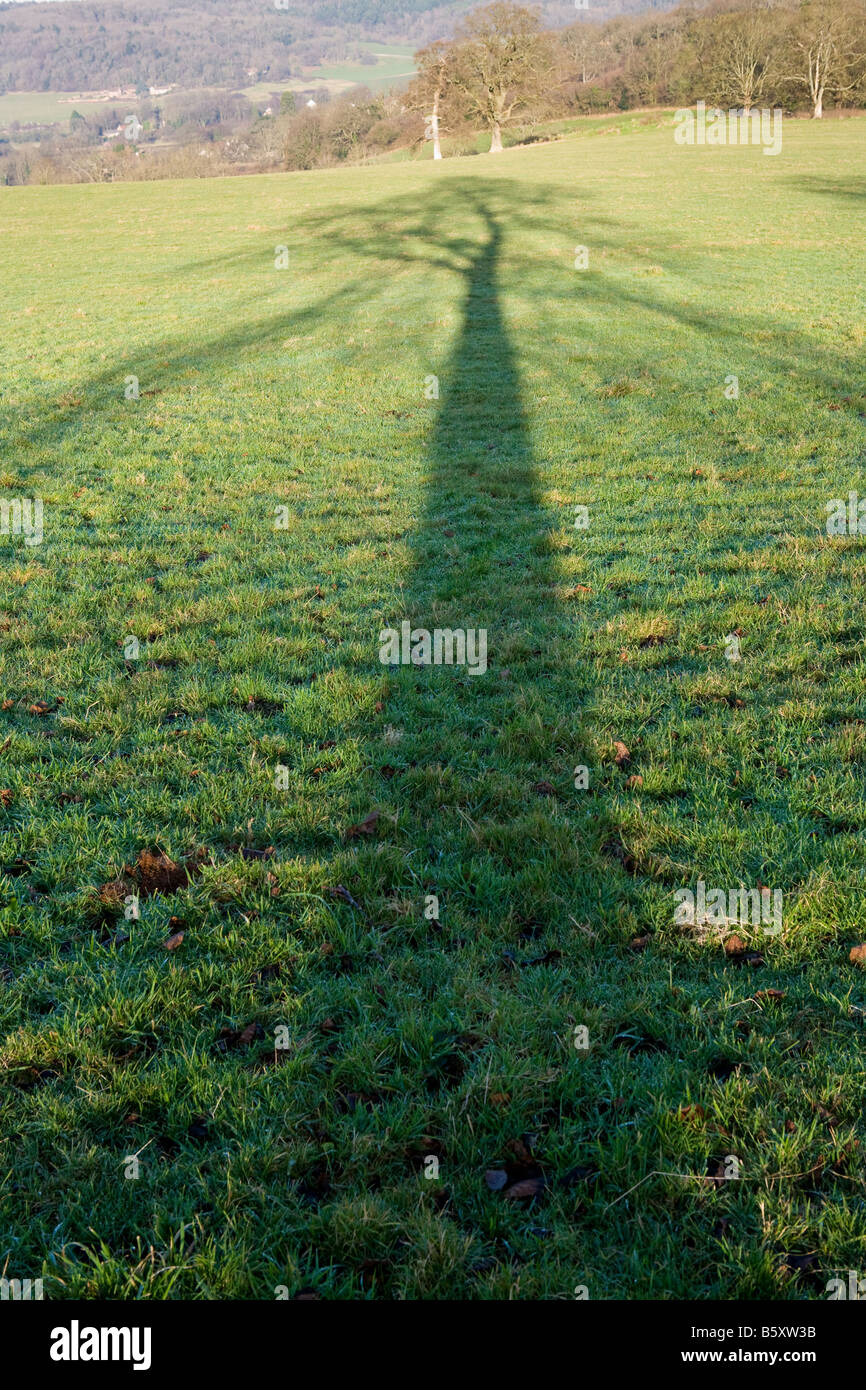 Long shadows on grassy hi-res stock photography and images - Alamy