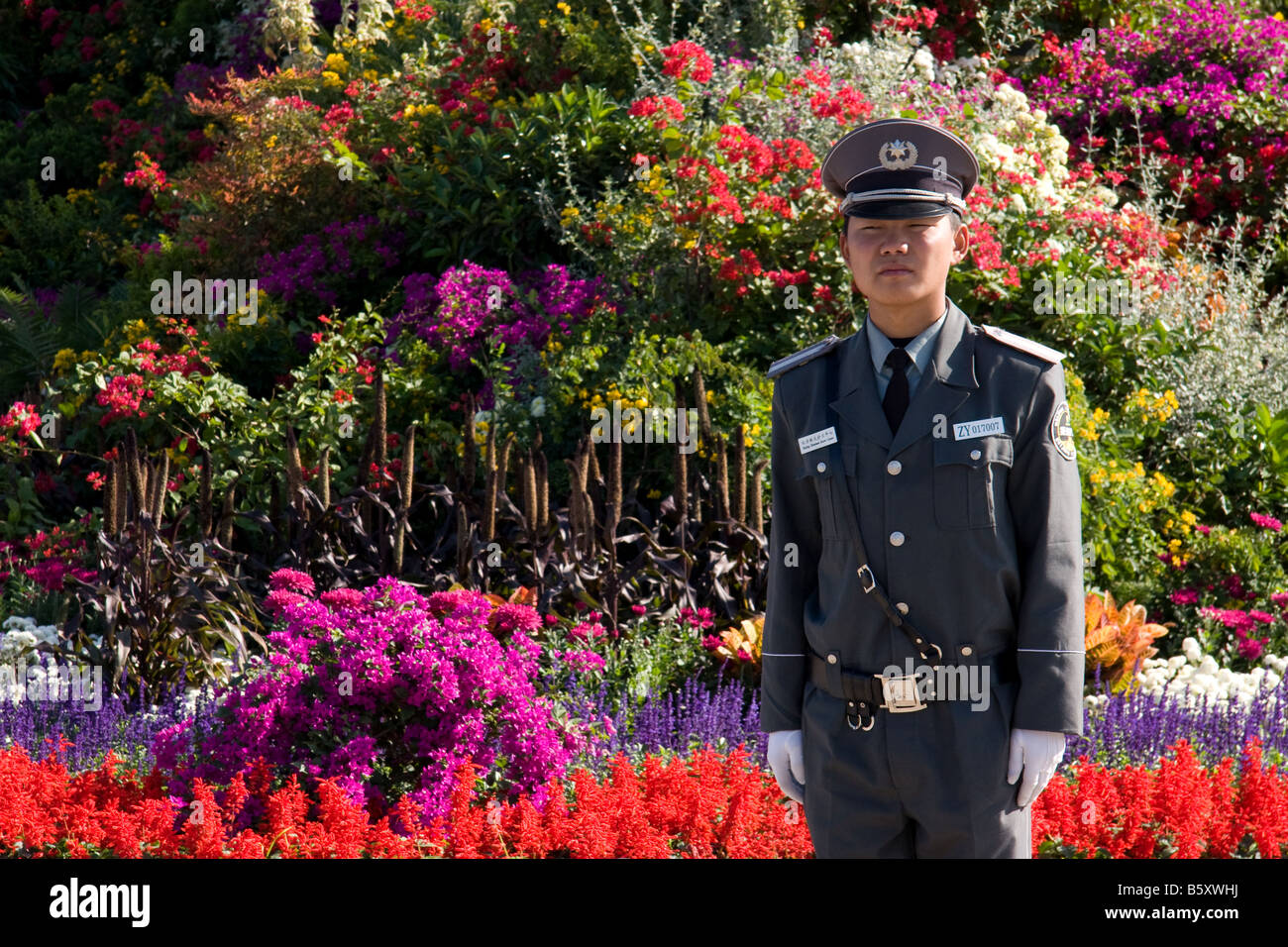 Chinese officer in Tiananmen Square, Beijing, China Stock Photo - Alamy