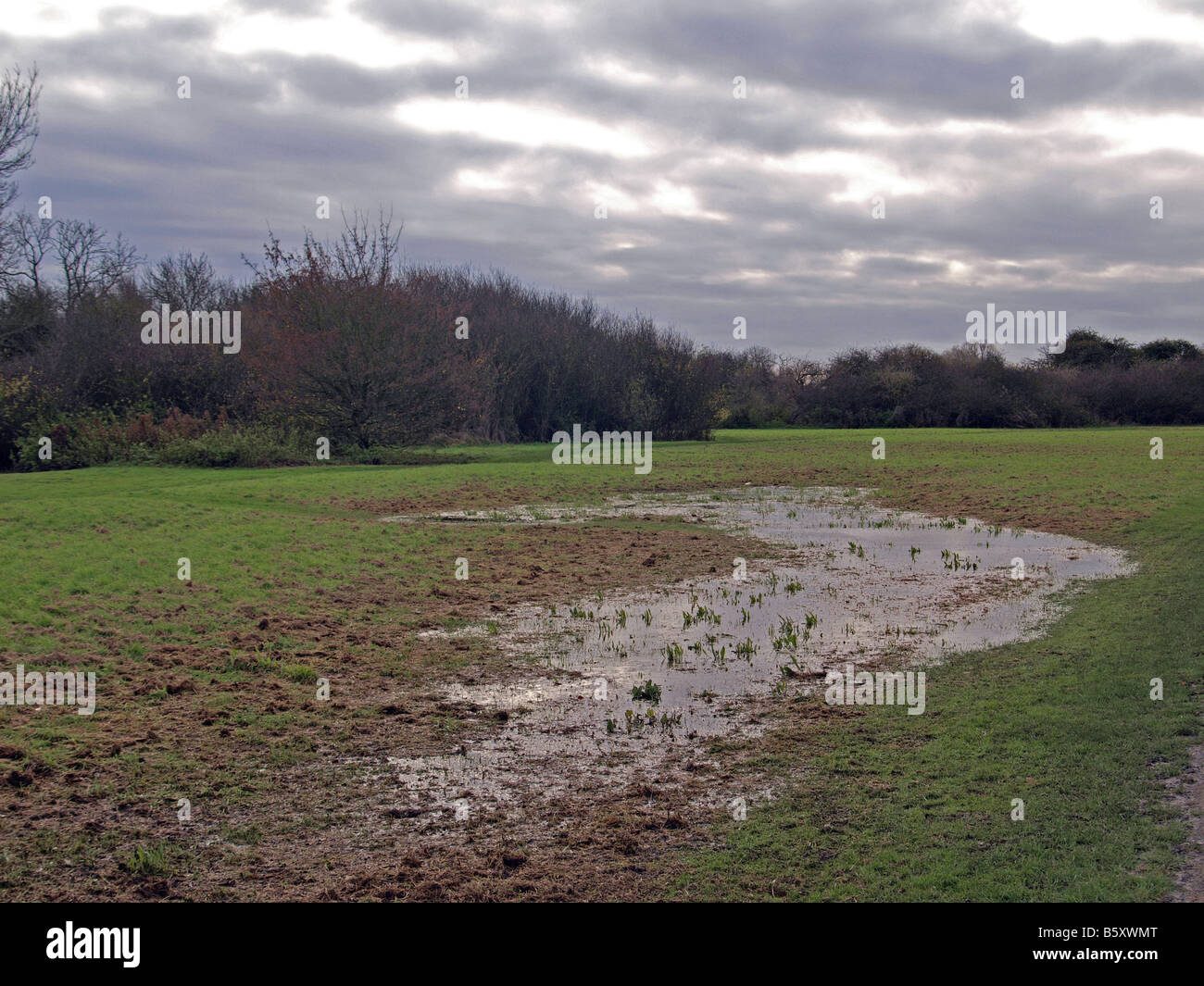 Flooded field after heavy rain Stock Photo - Alamy
