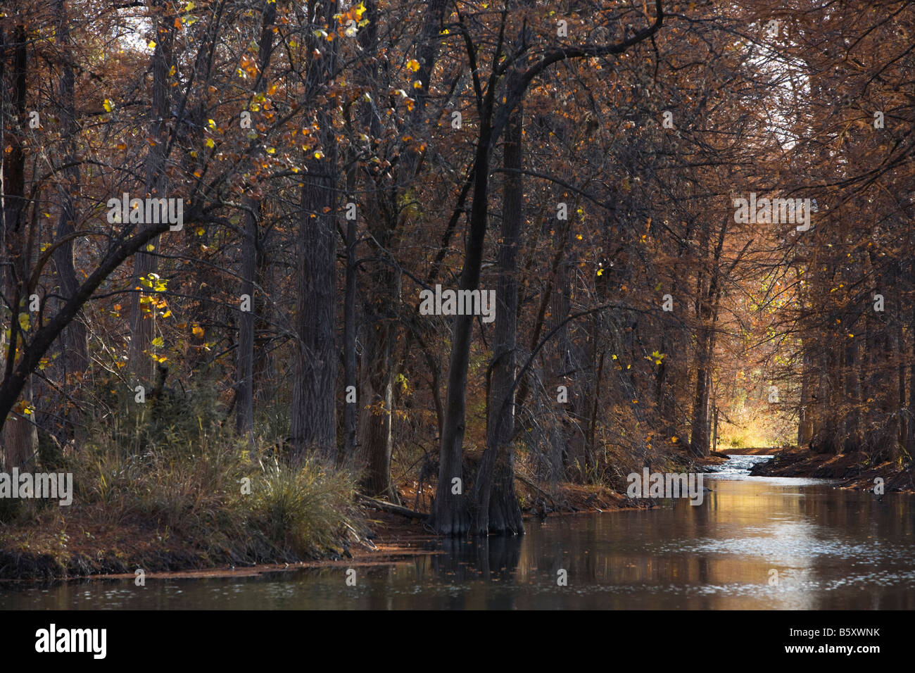 Rivers in the texas hill country hi-res stock photography and images ...