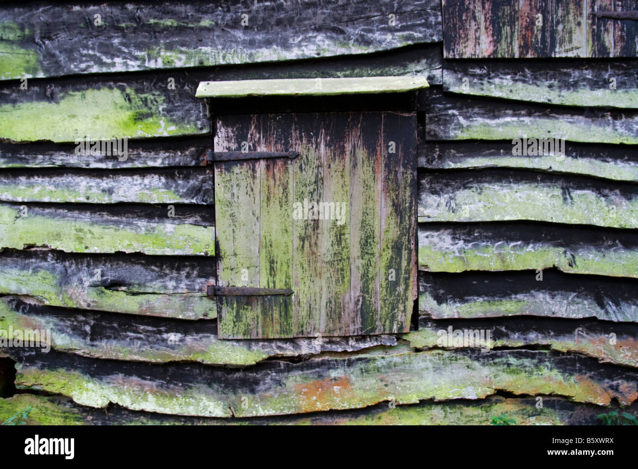 Wooden lap door and wall of old shed Stock Photo - Alamy
