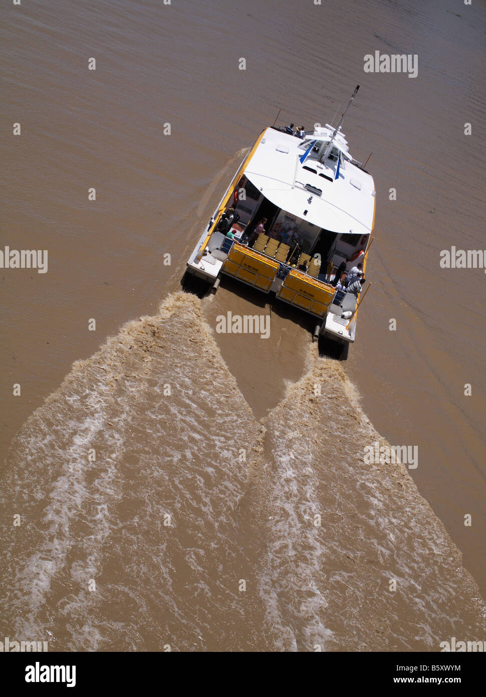 Brisbane city cat hi-res stock photography and images - Alamy