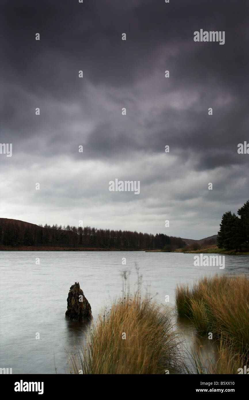 Cod beck hi-res stock photography and images - Alamy