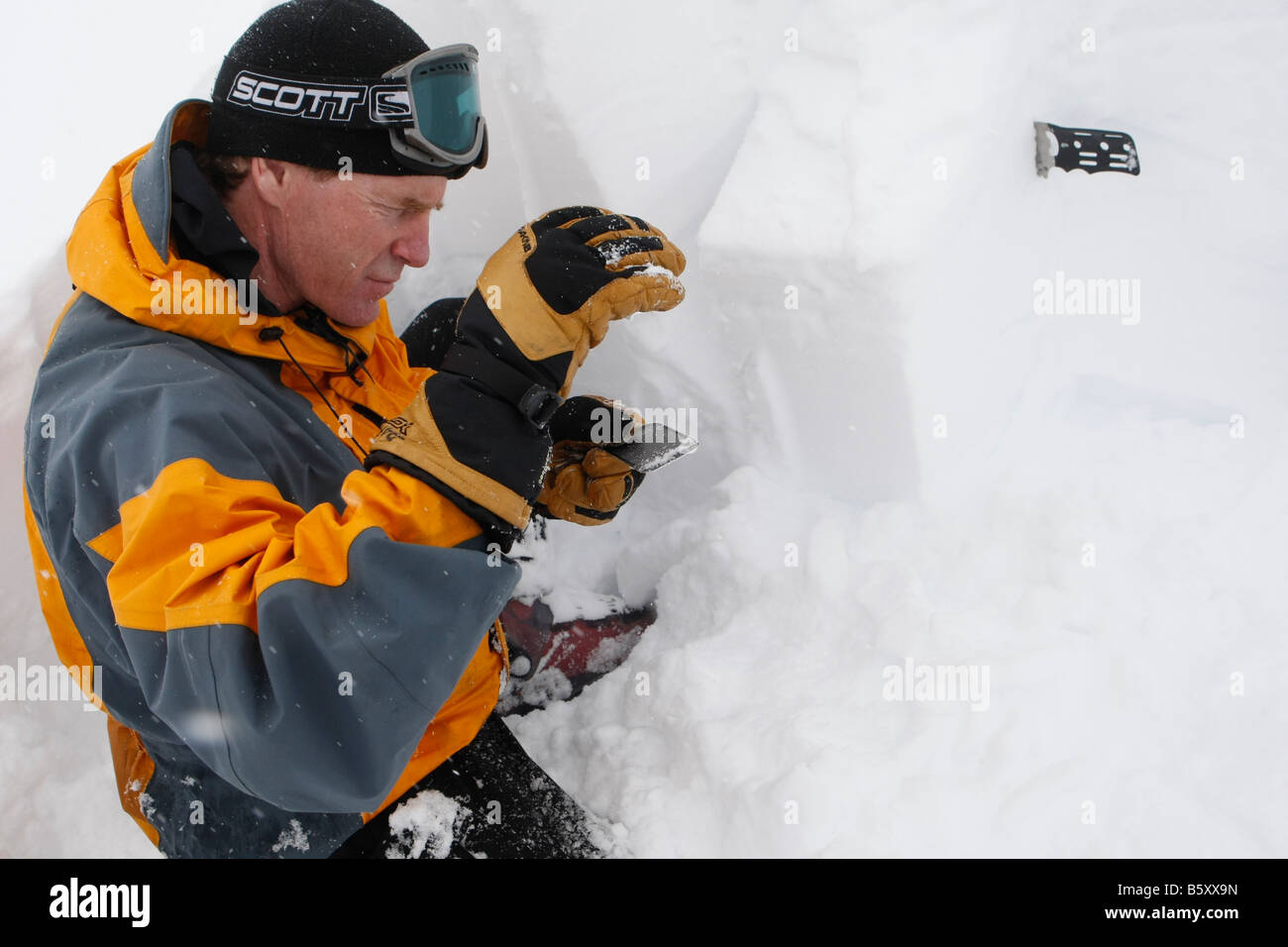 avalanche snow test by a ski guide digging a pitt Stock Photo - Alamy