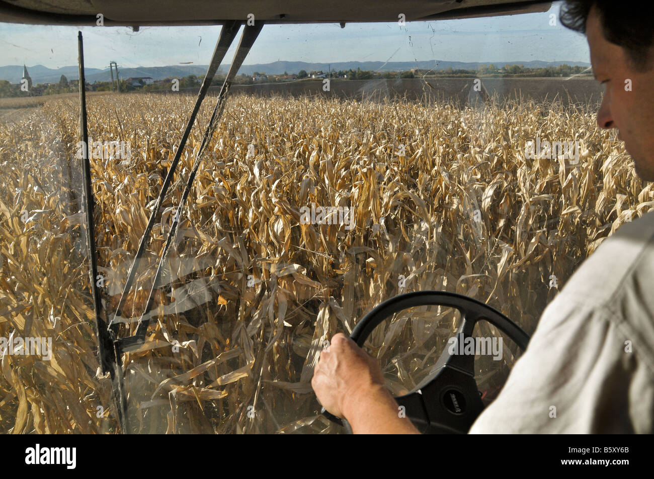 Farmer driving combine and harvesting corn (maize), France Stock Photo ...