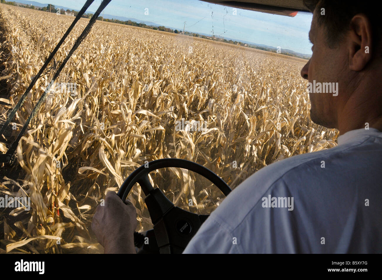Farmer driving combine and harvesting corn (maize) , France Stock Photo ...