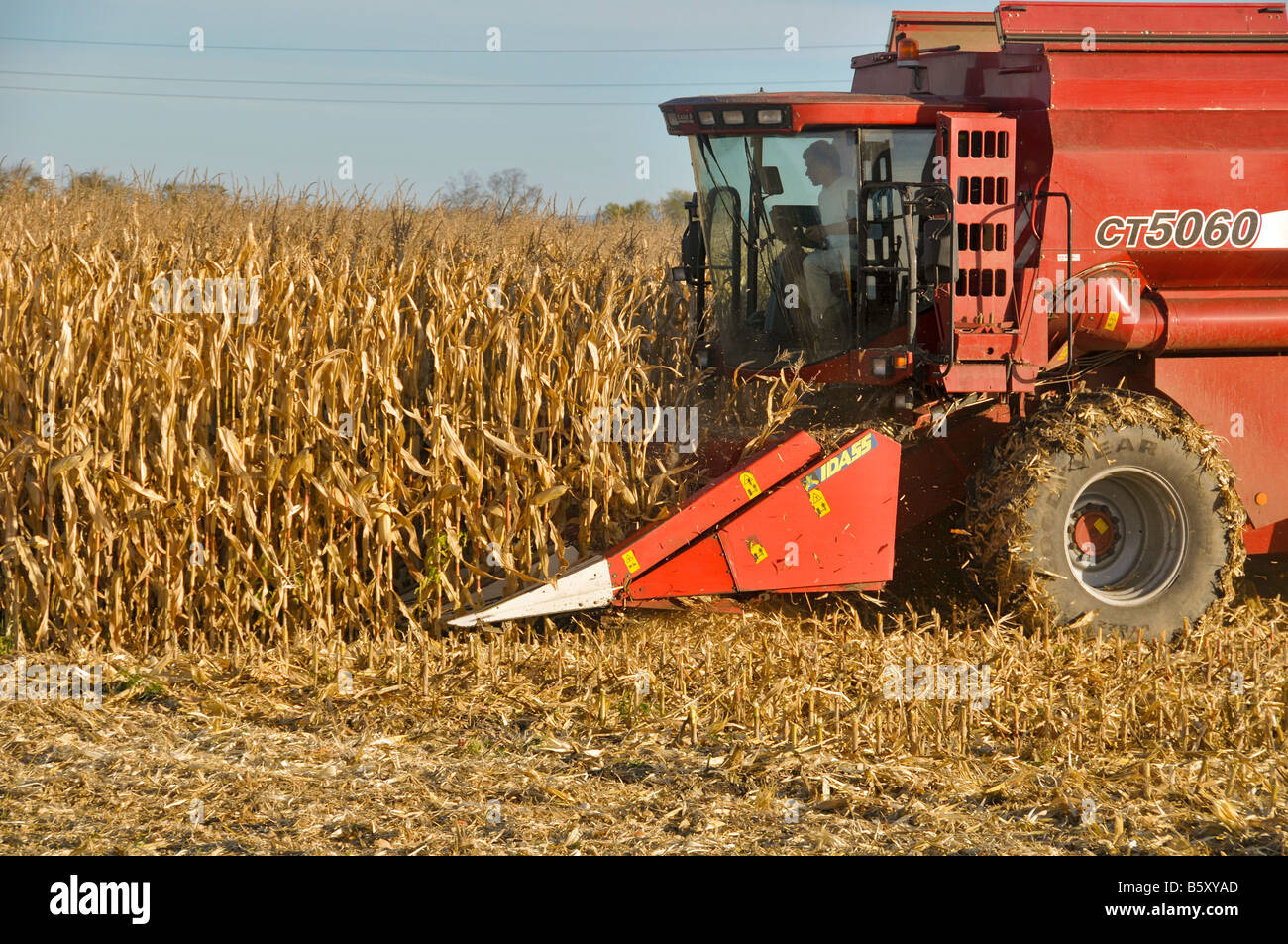 Corn (maize) harvest , France Stock Photo - Alamy