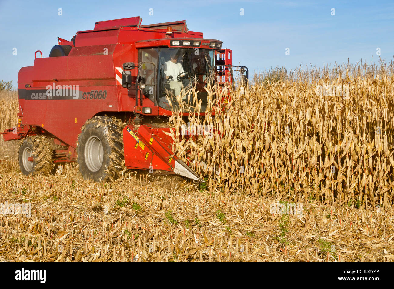 Corn Maize Harvest France High Resolution Stock Photography and Images ...