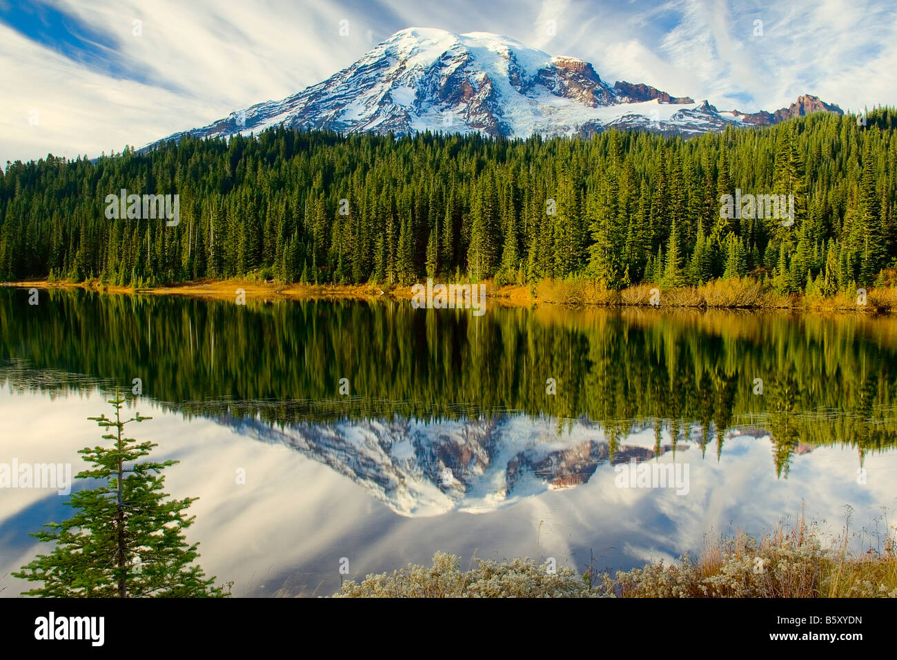 Mount Rainier reflected in Reflection Lake - Mount Rainier National ...