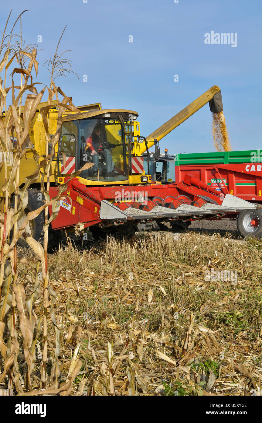 Combine unloading load grain hi-res stock photography and images - Alamy