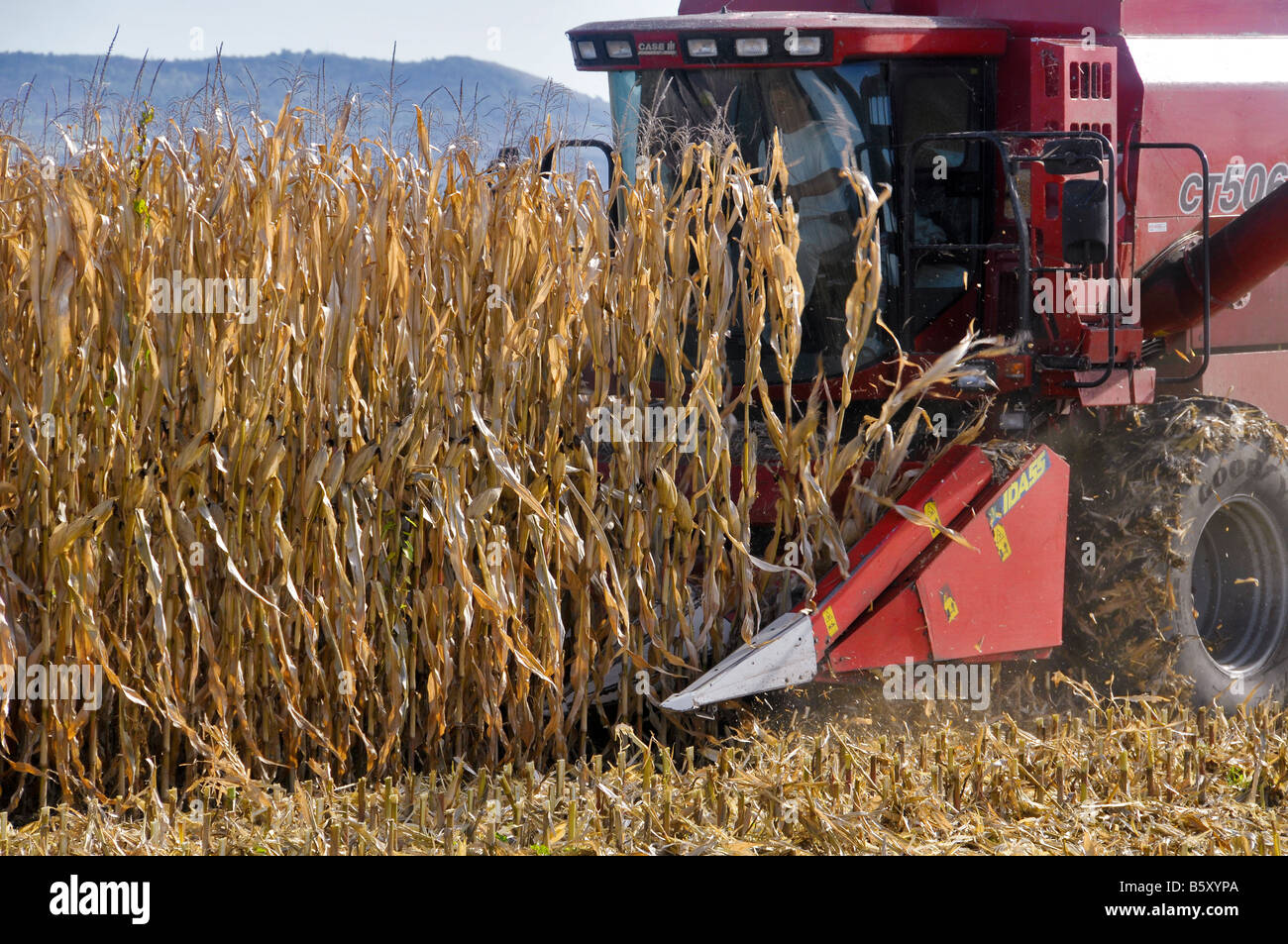 Corn maize harvest france hi-res stock photography and images - Alamy