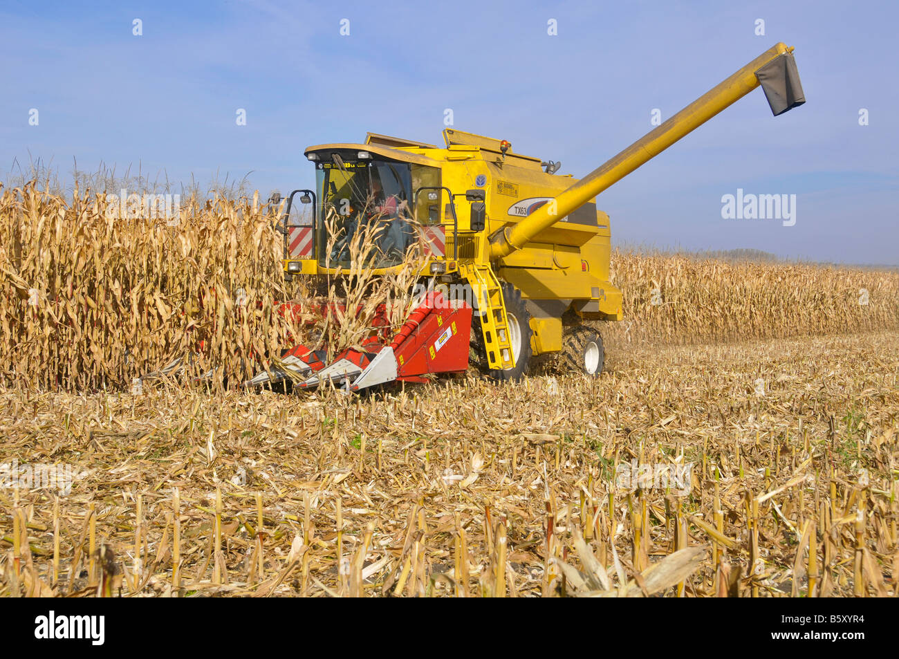 Corn (maize) harvest, France Stock Photo - Alamy