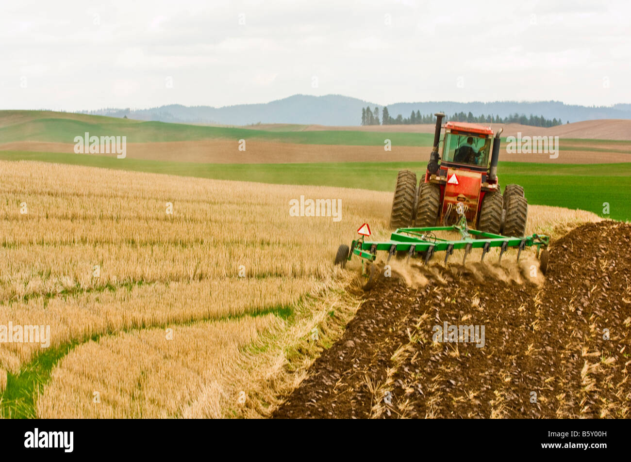 Seed bed preparation prior to planting grains or legumes in the Palouse ...