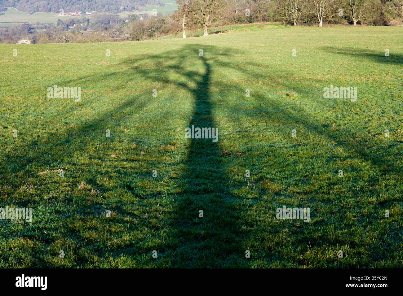 Tree shadow long shadows hi-res stock photography and images - Alamy