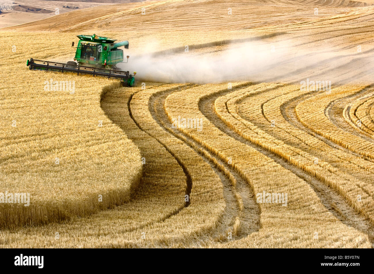 A combine harvesting wheat in the Palouse region of Washington Stock ...
