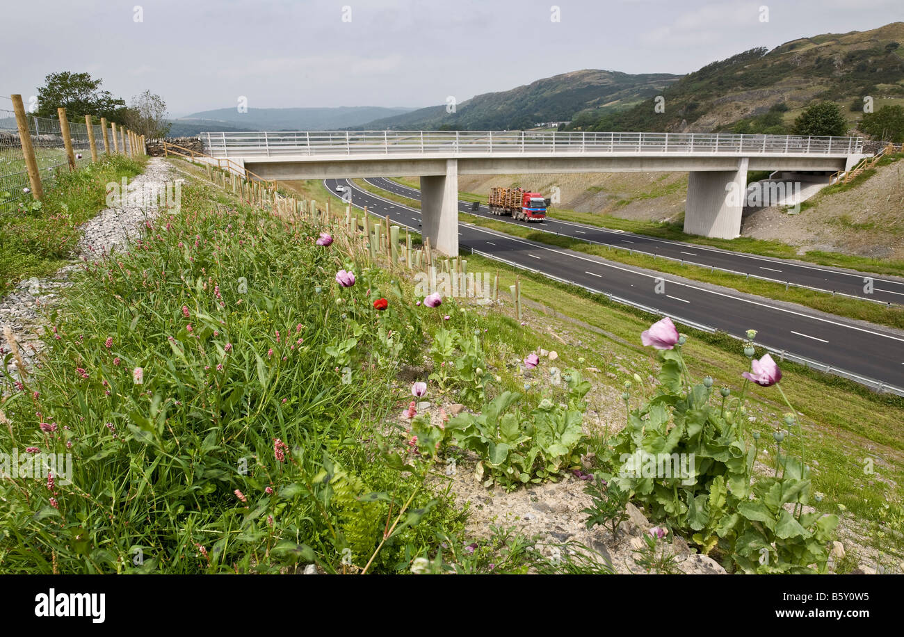 Bridge over the A590 dual carriageway in Cumbria Stock Photo - Alamy