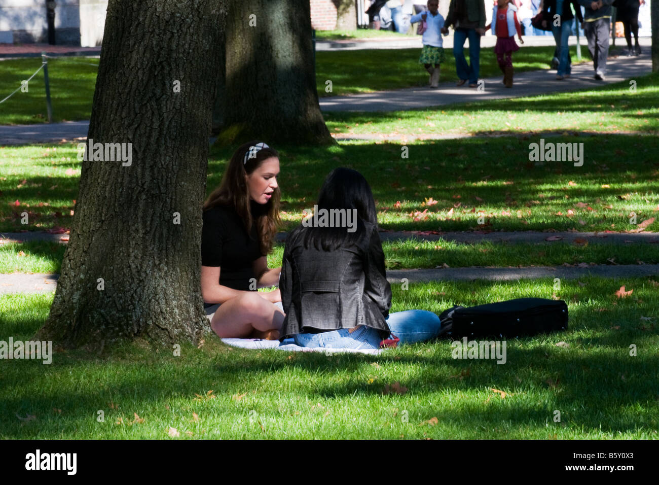 Two female students studying on the lawn in the Harvard University yard Stock Photo - Alamy
