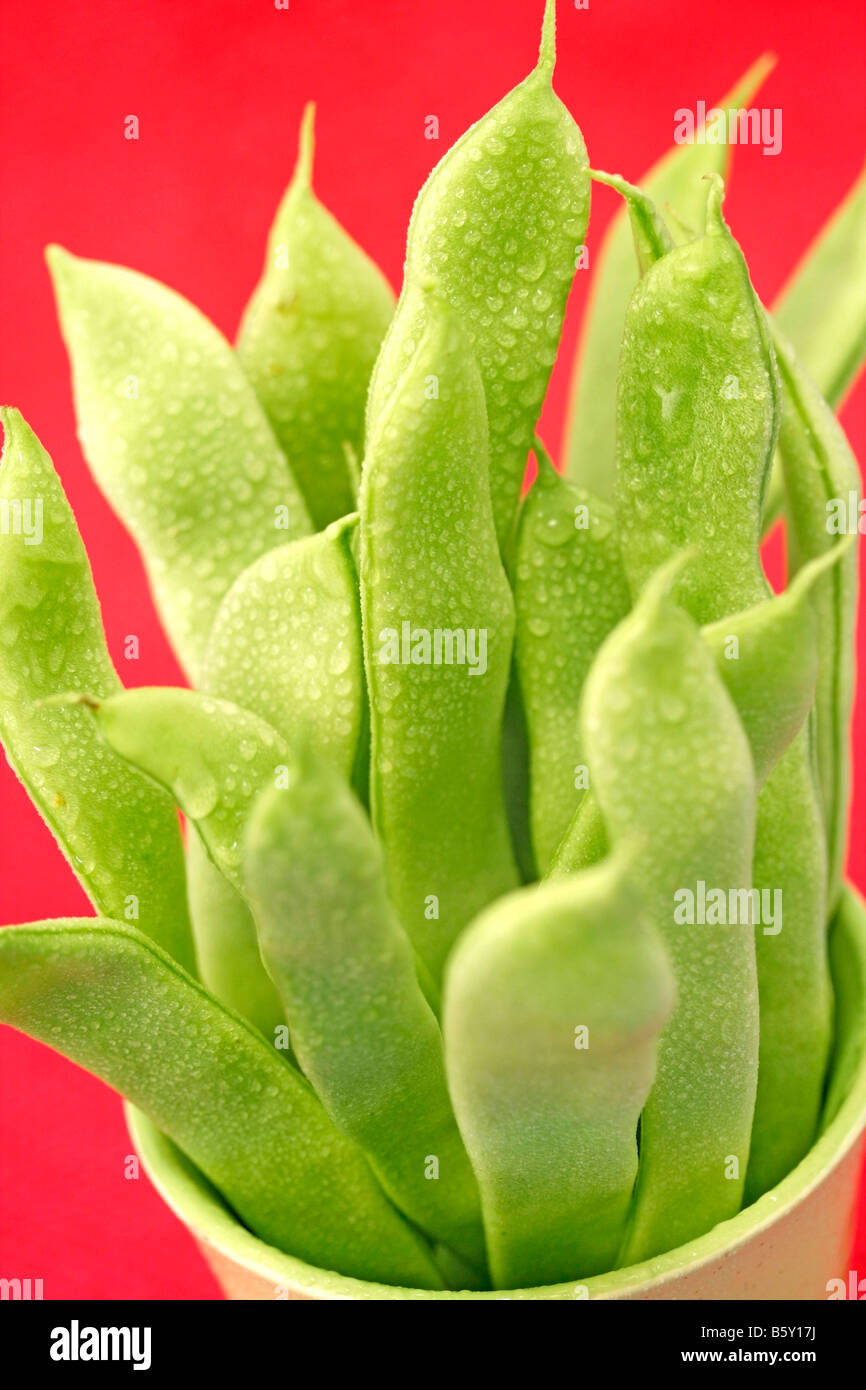 Runner beans studio hi-res stock photography and images - Alamy