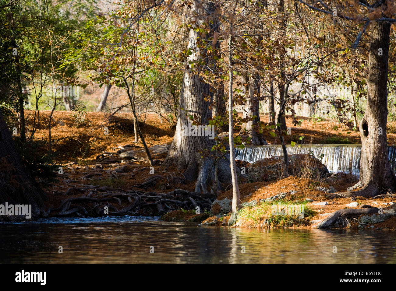 Texas hill country rivers hi-res stock photography and images - Alamy