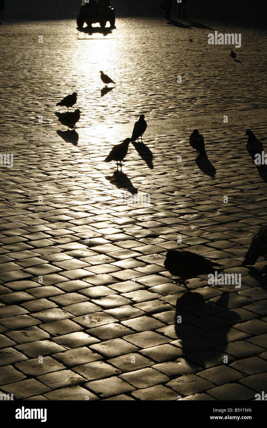 person walking in square in rome, italy Stock Photo - Alamy