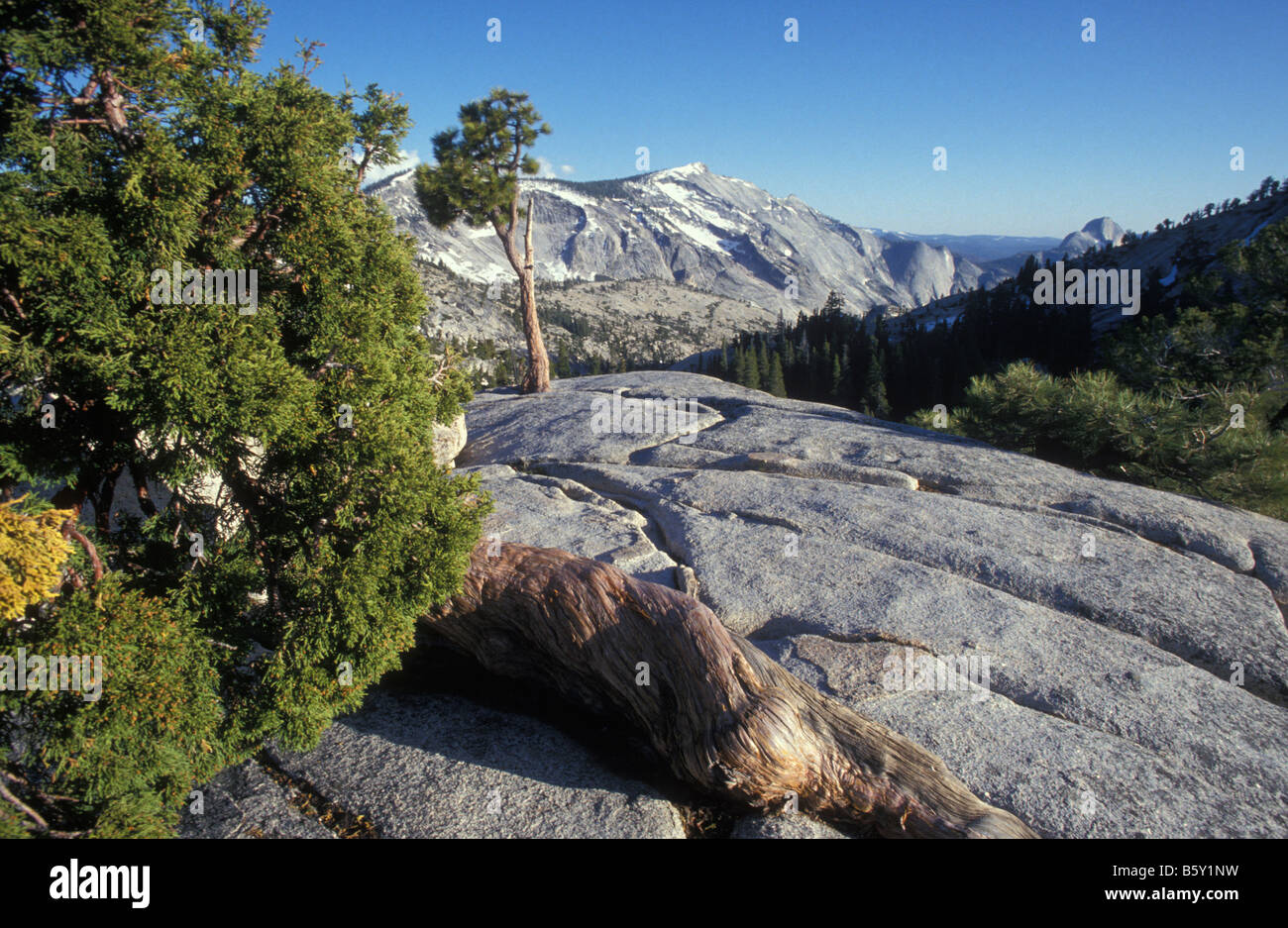 Olmsted Point at Yosemite National Park California USA Stock Photo - Alamy