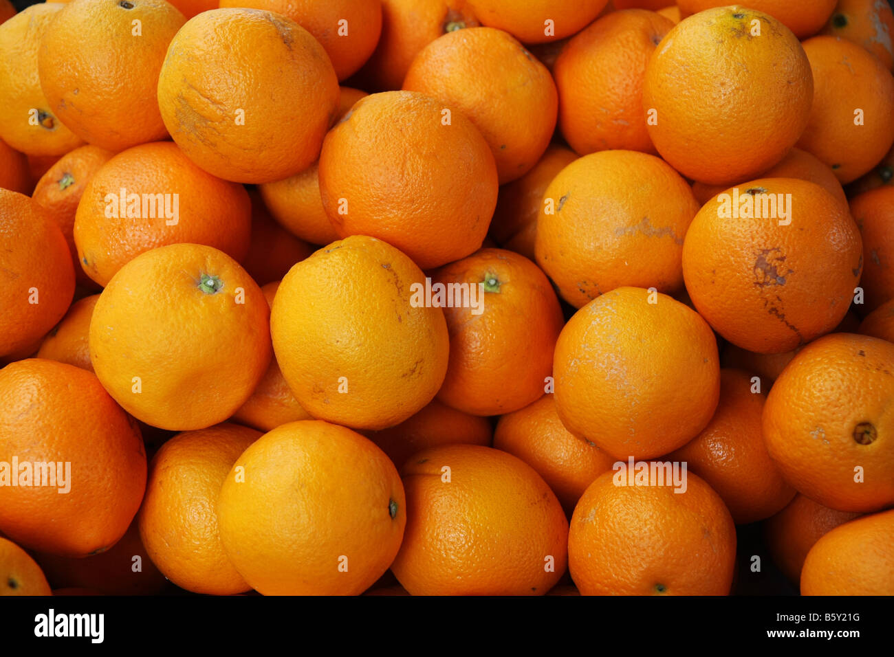 Azores orange hi-res stock photography and images - Alamy