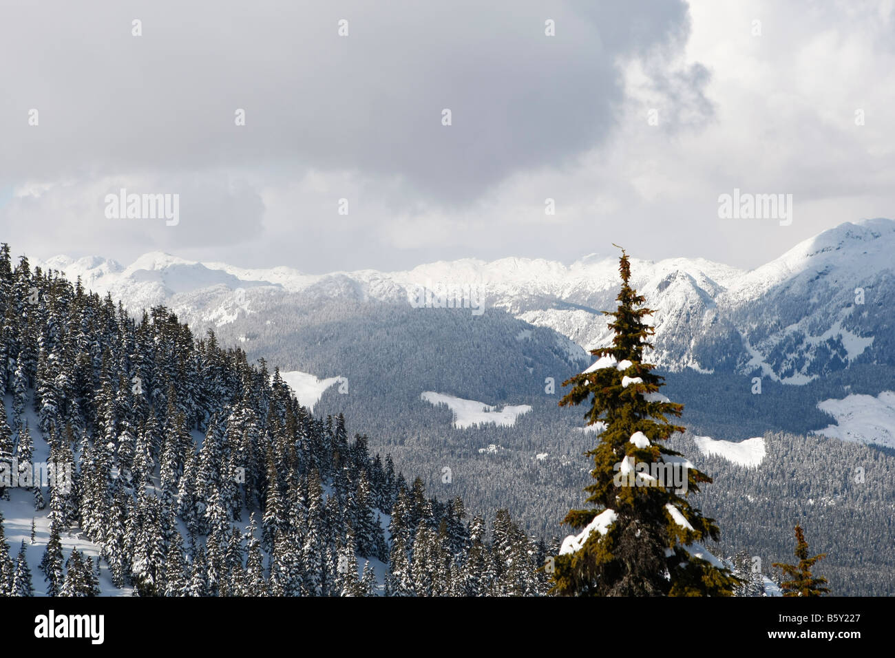 winter mountain landscape near whistler bc Stock Photo - Alamy