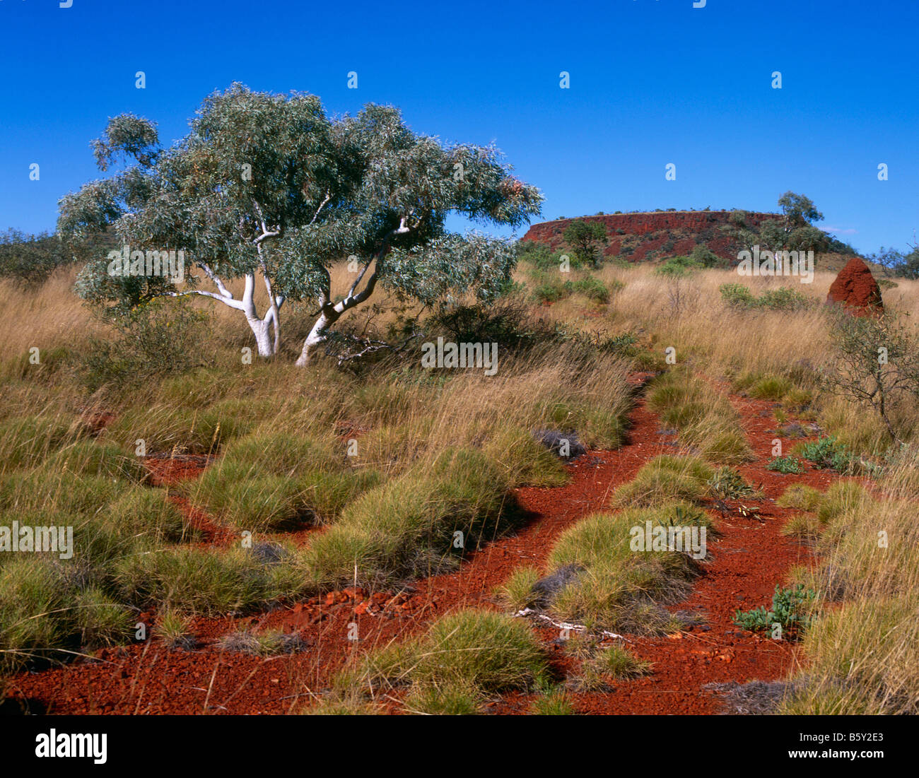 Four Wheel Drive Track into the red earth of Karijini National Park ...