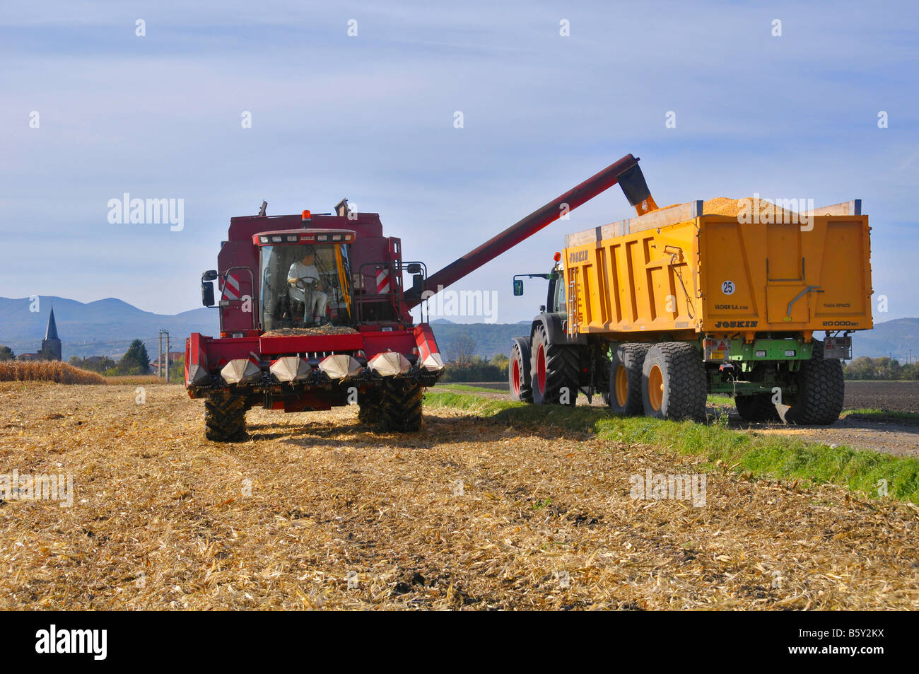Combine harvest unloading maize (corn) in a trailer Stock Photo - Alamy