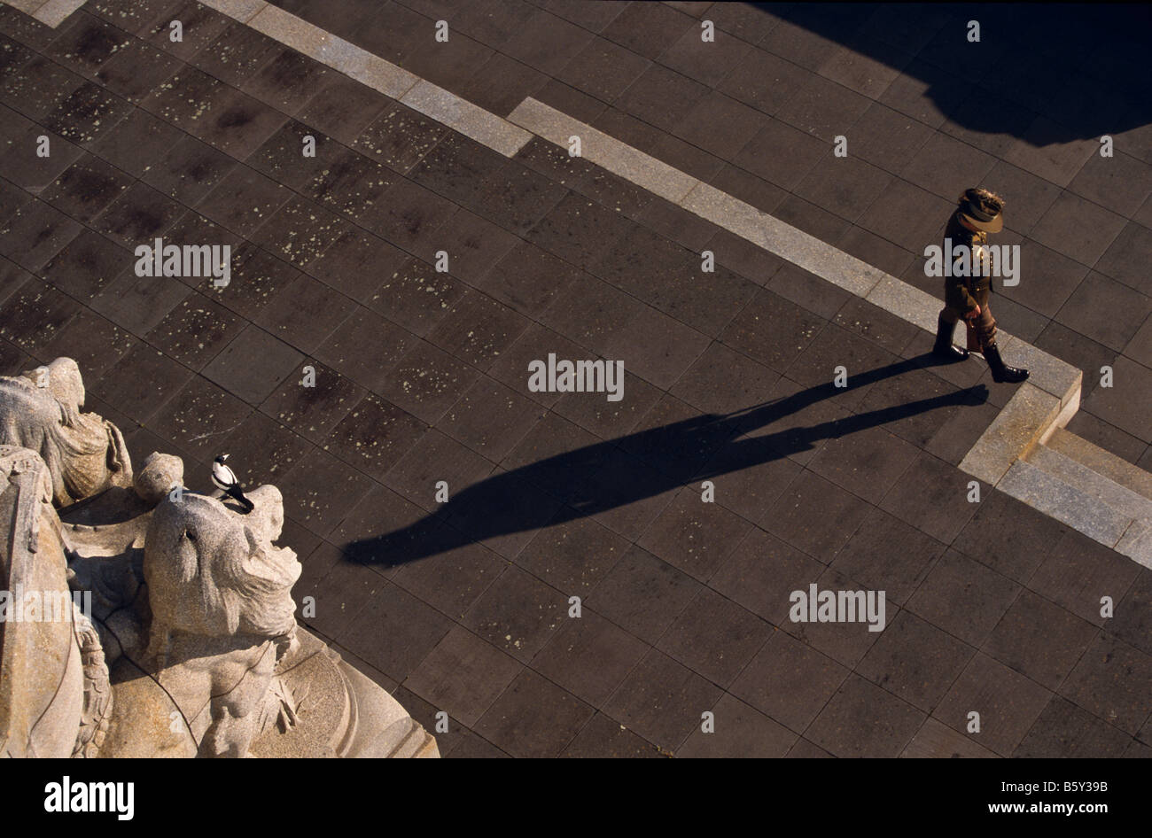 Swooping magpie, Melbourne, Australia Stock Photo - Alamy