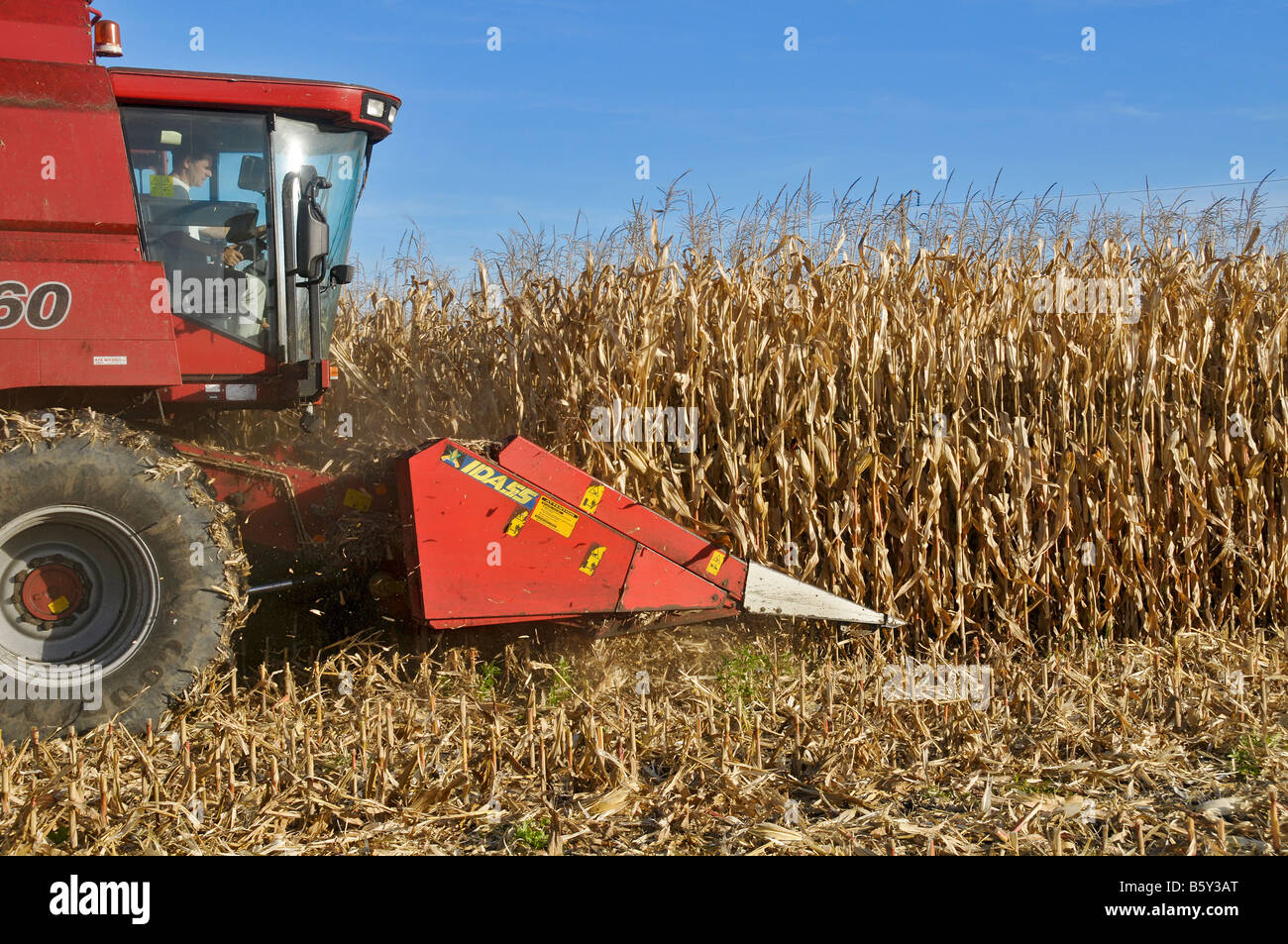 Corn (maize) harvest , France Stock Photo - Alamy
