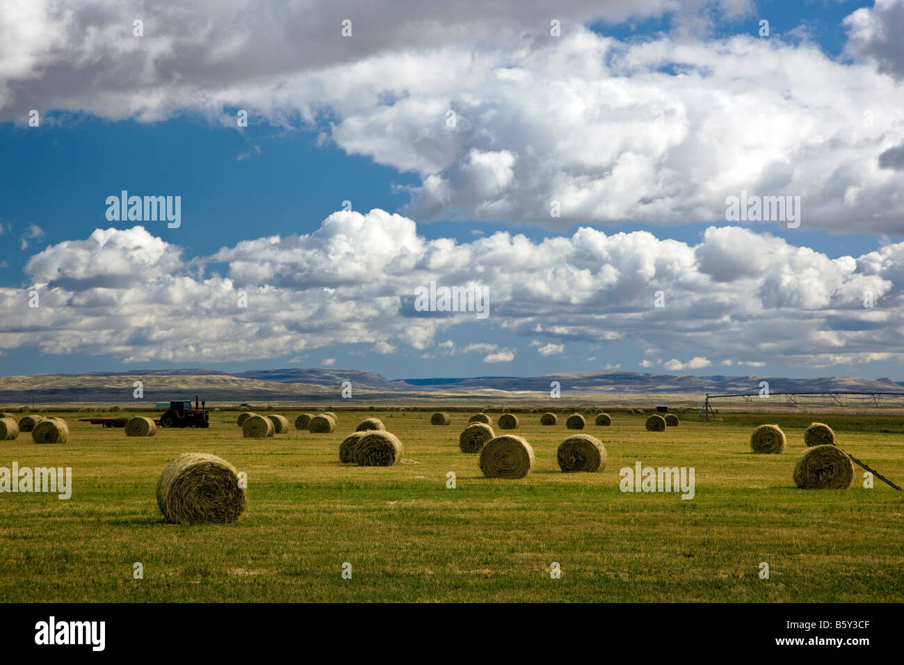 Rolled hay hi-res stock photography and images - Alamy
