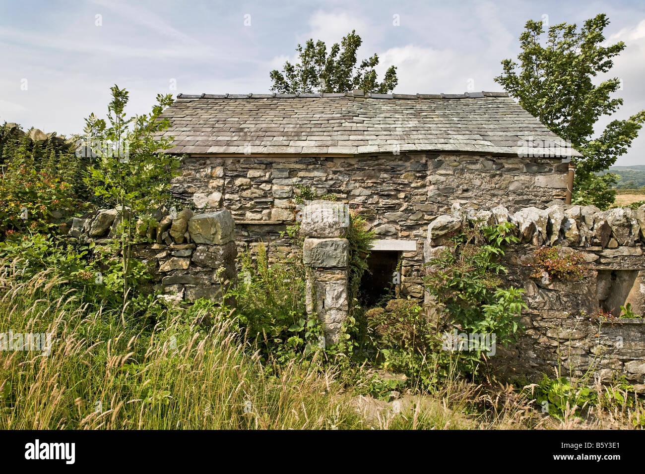 Bat hotel next to the A590 dual carriageway in Cumbria Stock Photo - Alamy