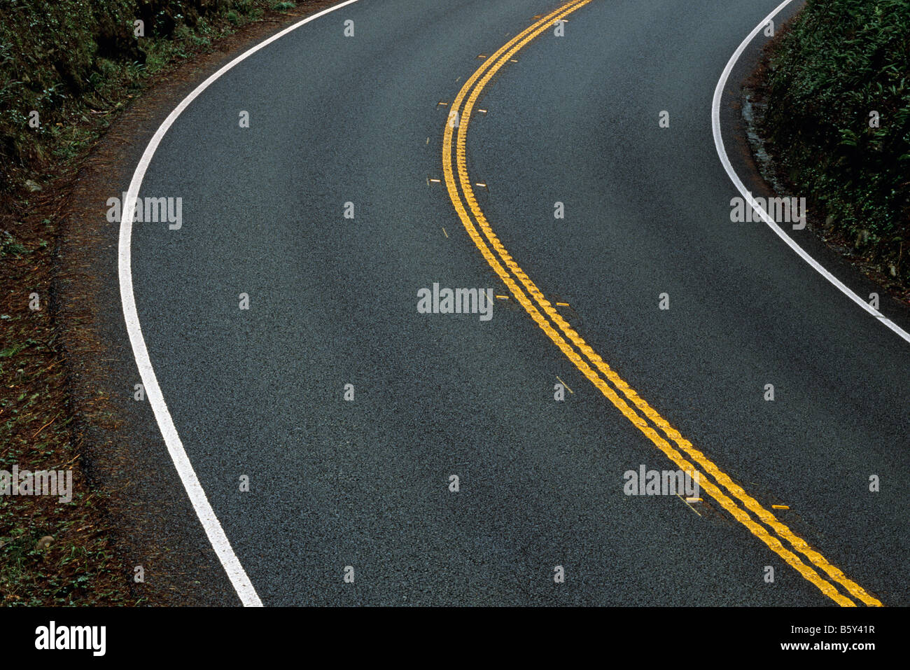 Jedediah Smith State Park Highway 199 winding through redwood forest ...