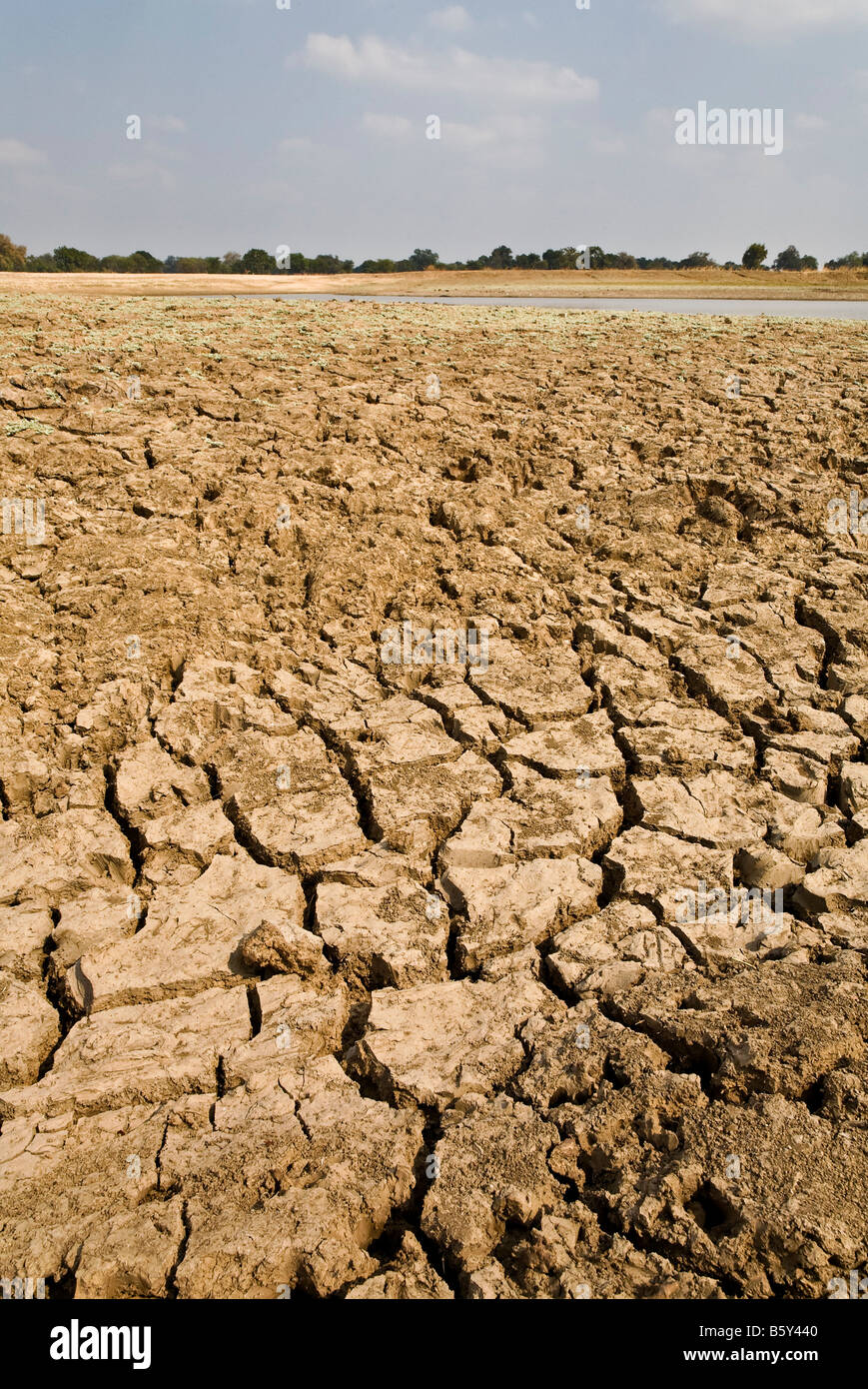 Dried up lake at South Luangwa National Park in Zambia Stock Photo - Alamy