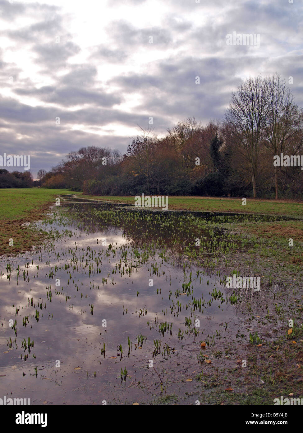 Flood after heavy rainfall hi-res stock photography and images - Alamy