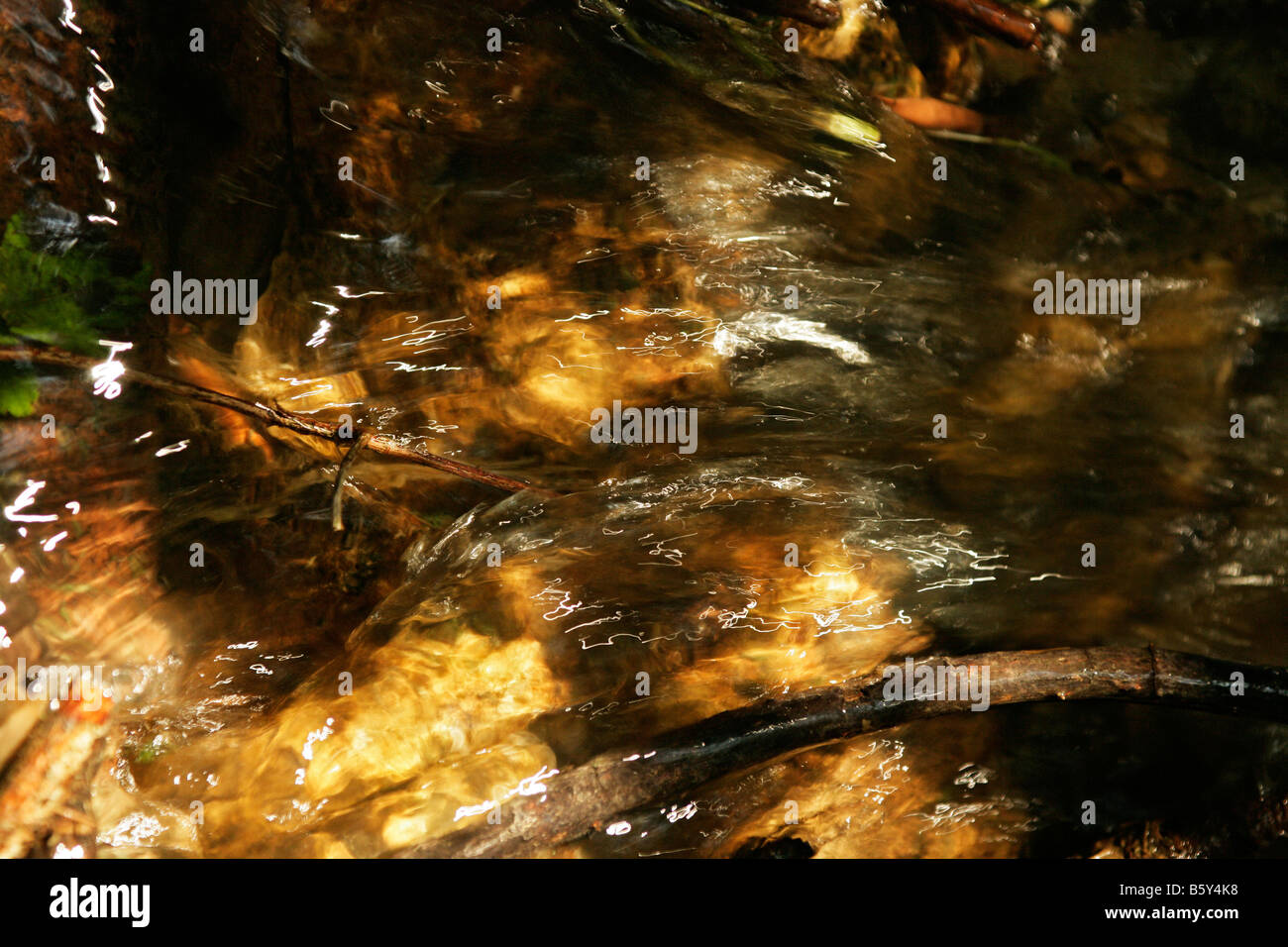 Pebbles in stream hi-res stock photography and images - Alamy