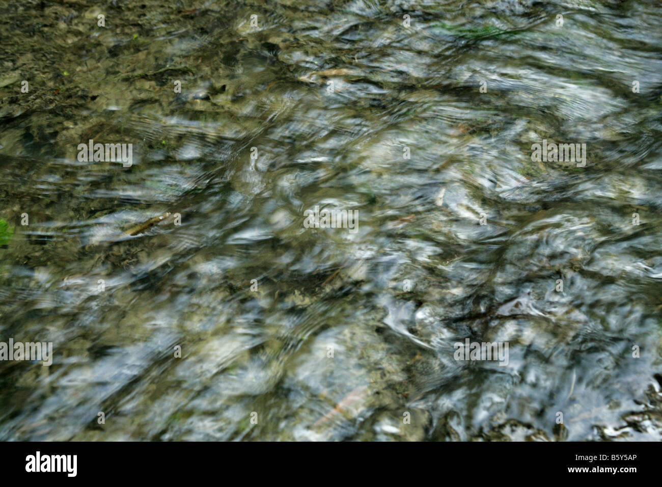 Pebbles in stream hi-res stock photography and images - Alamy