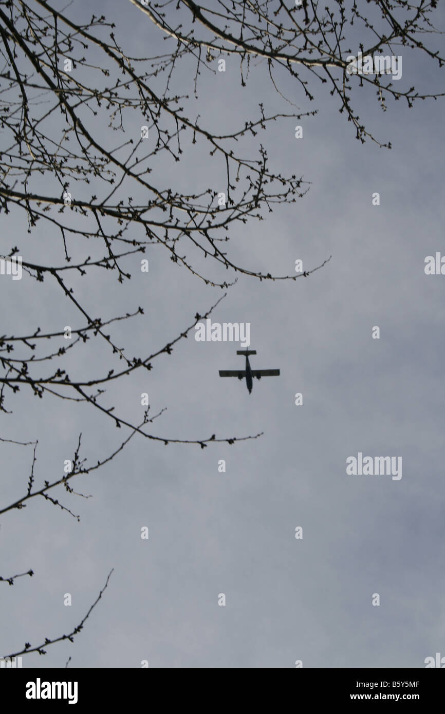 light aircraft flying in sky with trees Stock Photo - Alamy