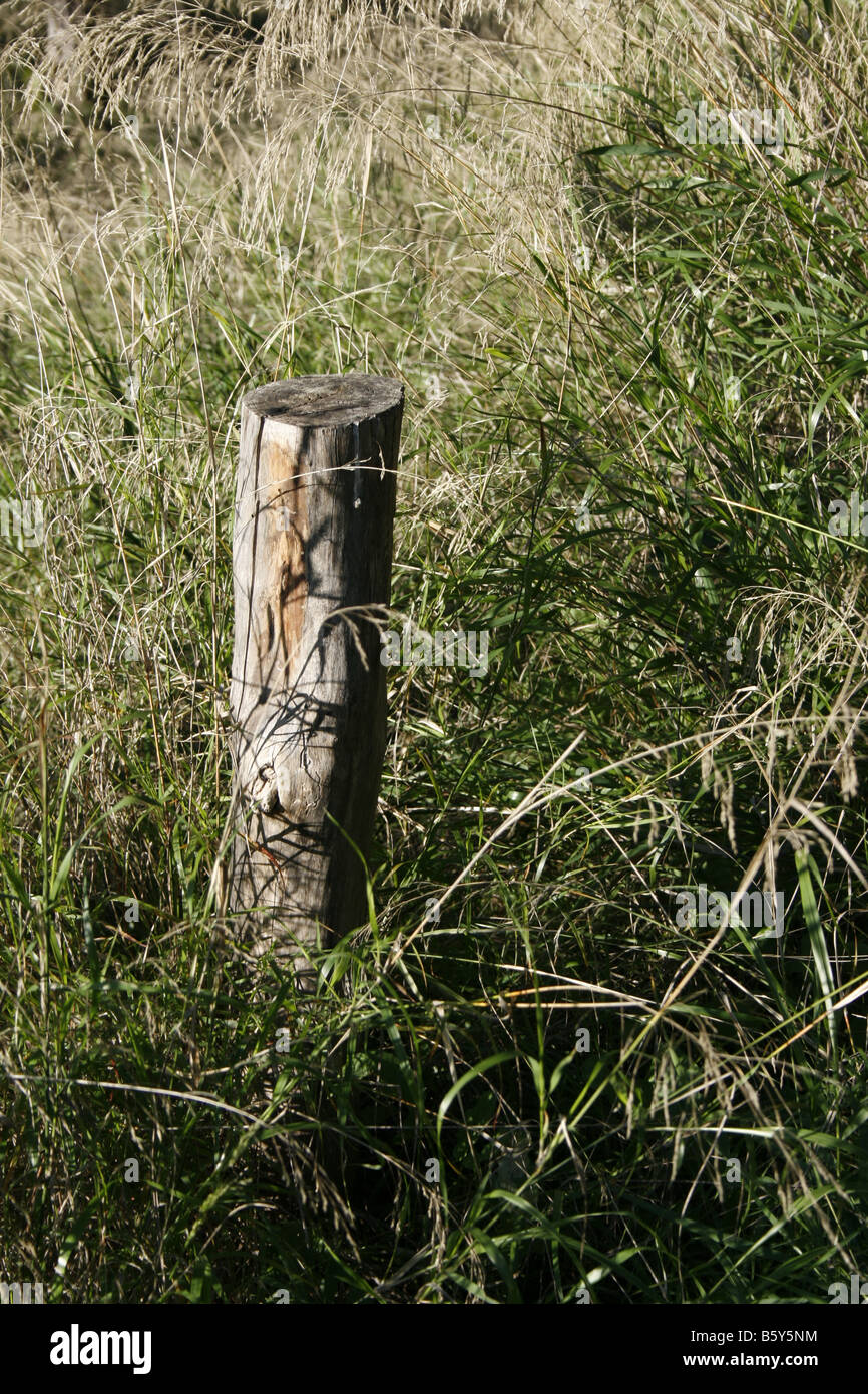 one wooden fence post and long grass in field Stock Photo - Alamy