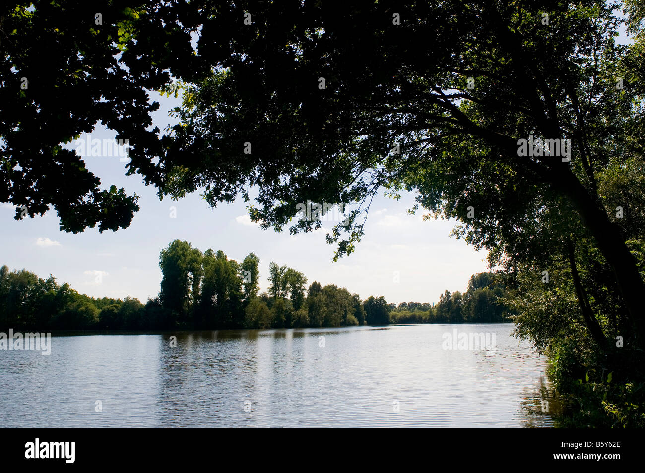 Borner see hi-res stock photography and images - Alamy